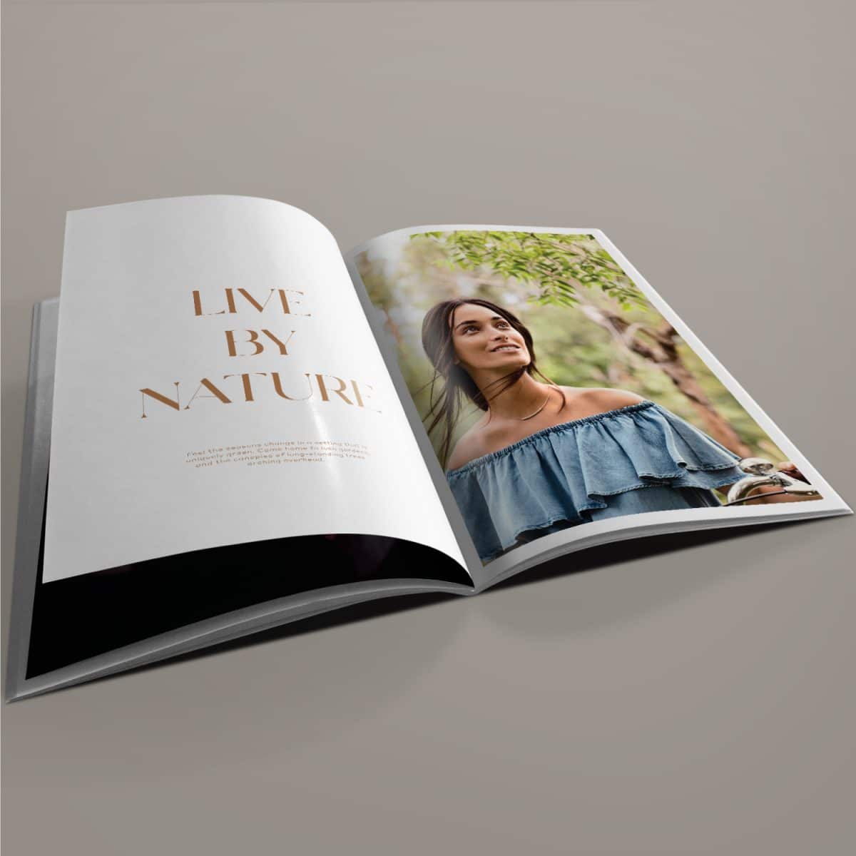 Saddle Stitched Booklets - Printing Sydney